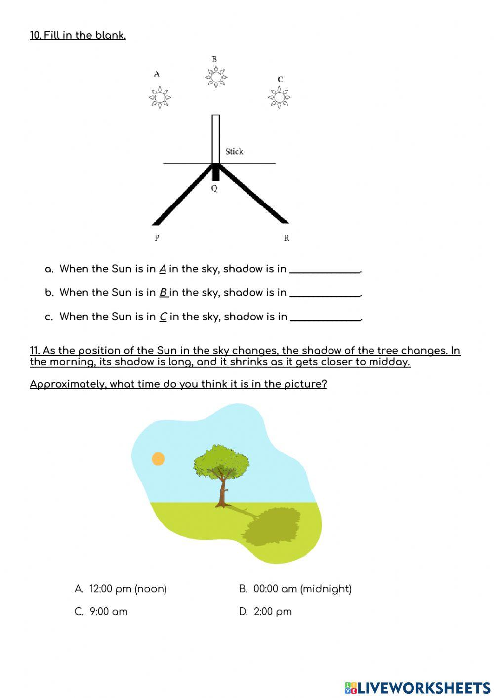 Light and Shado… | Free Interactive Worksheets | 2256244