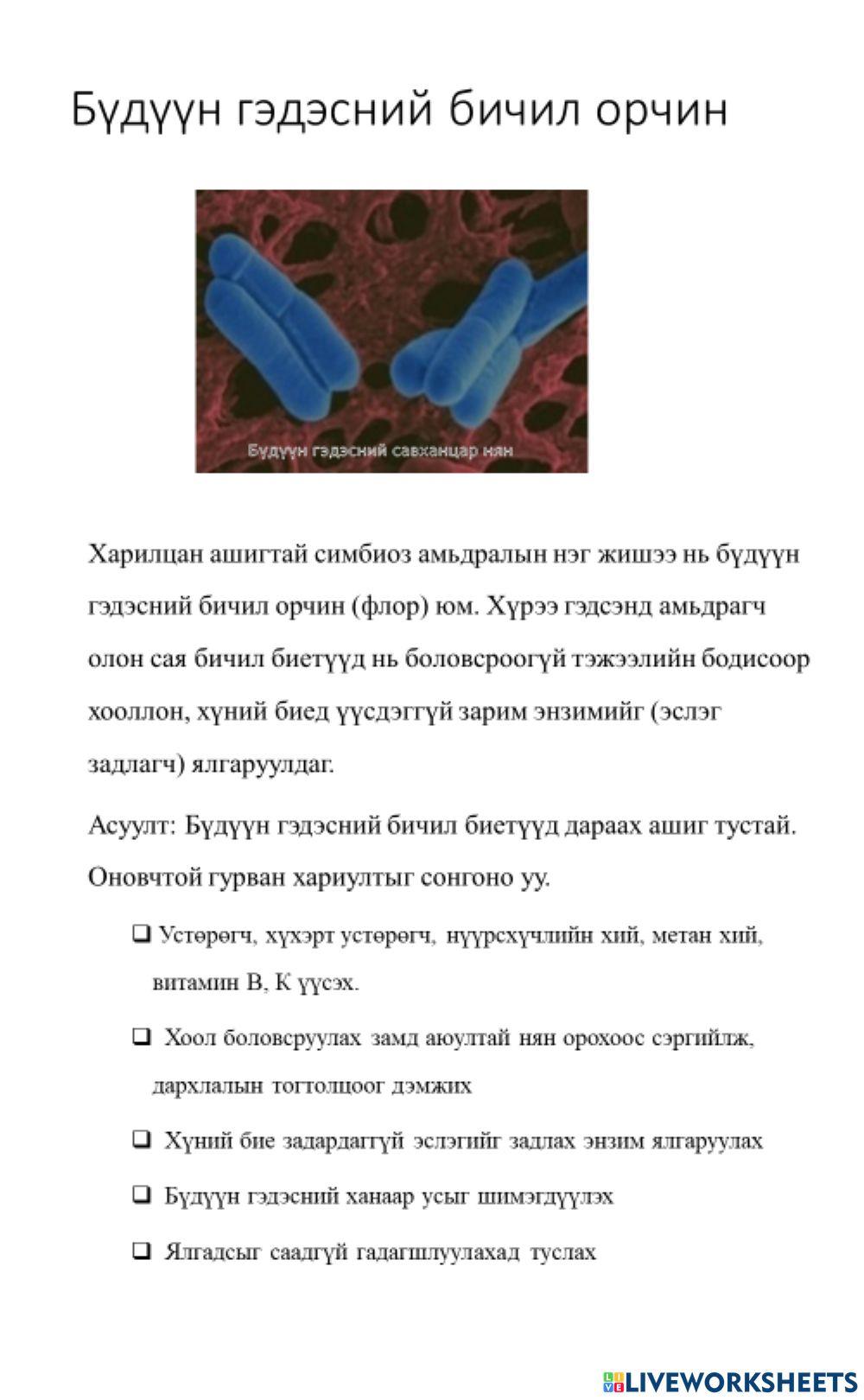 бүдүүн гэдэсний… Free Interactive Worksheets 2513997