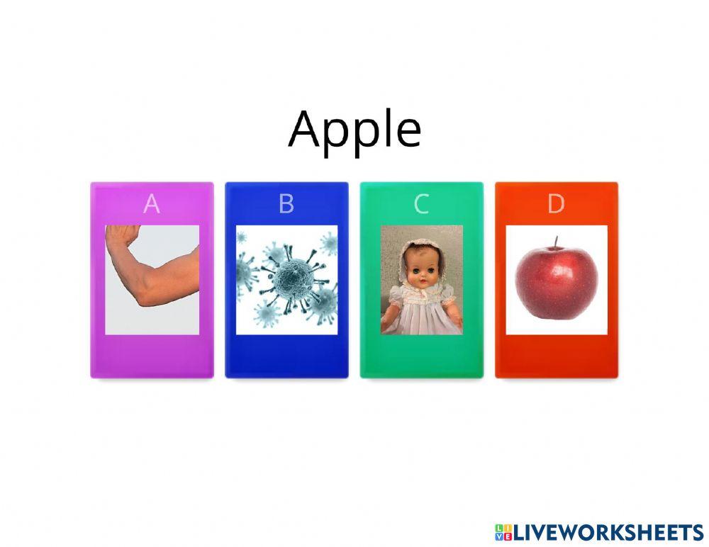 ABC Vocabulary exercise | Live Worksheets