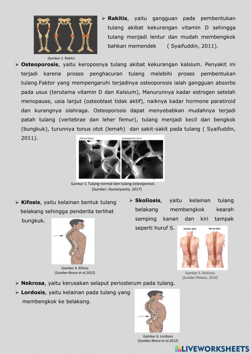 2263844 | E-book interaktif | Tia Mutiara