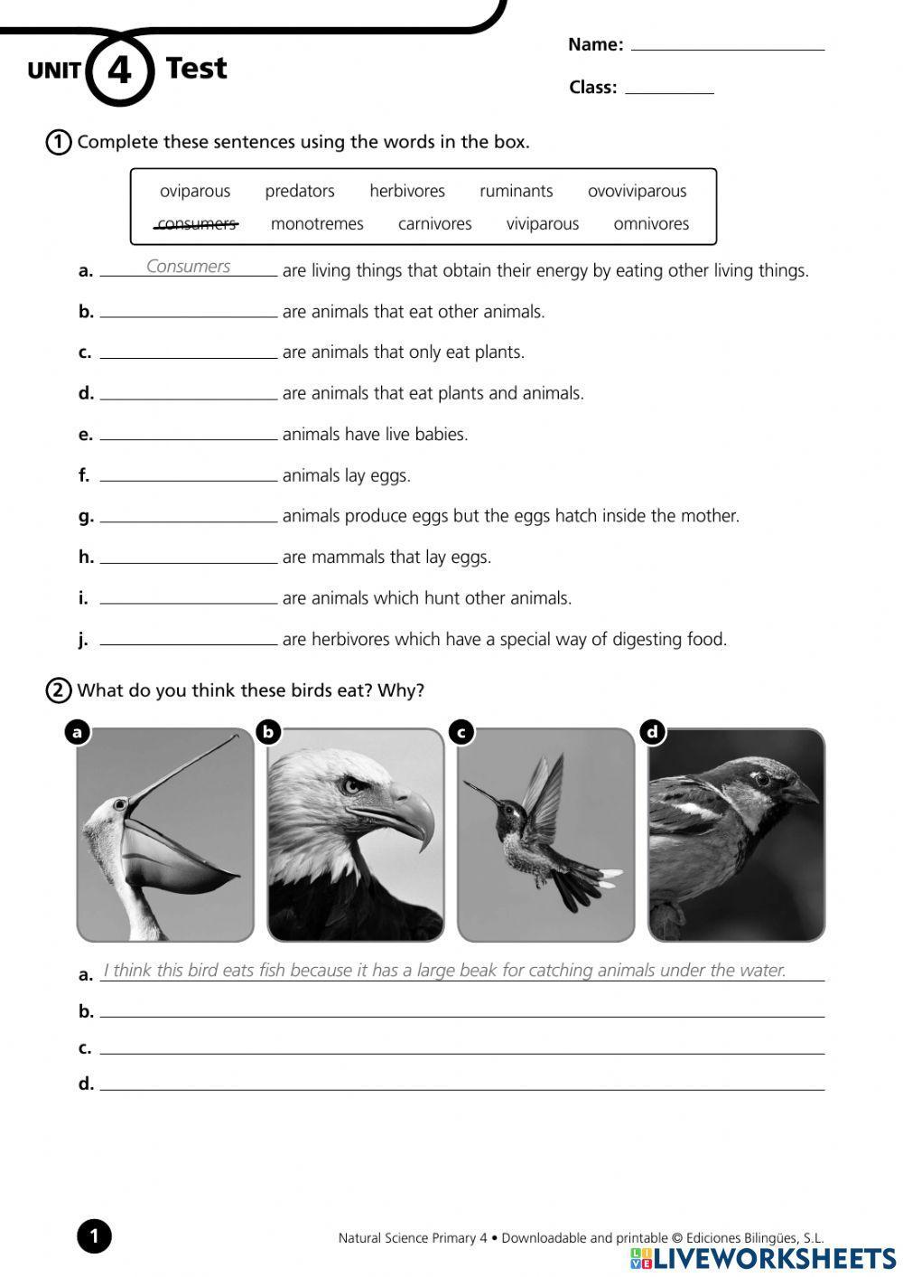 ANIMALS 4TH GRA… | Free Interactive Worksheets | 2264802