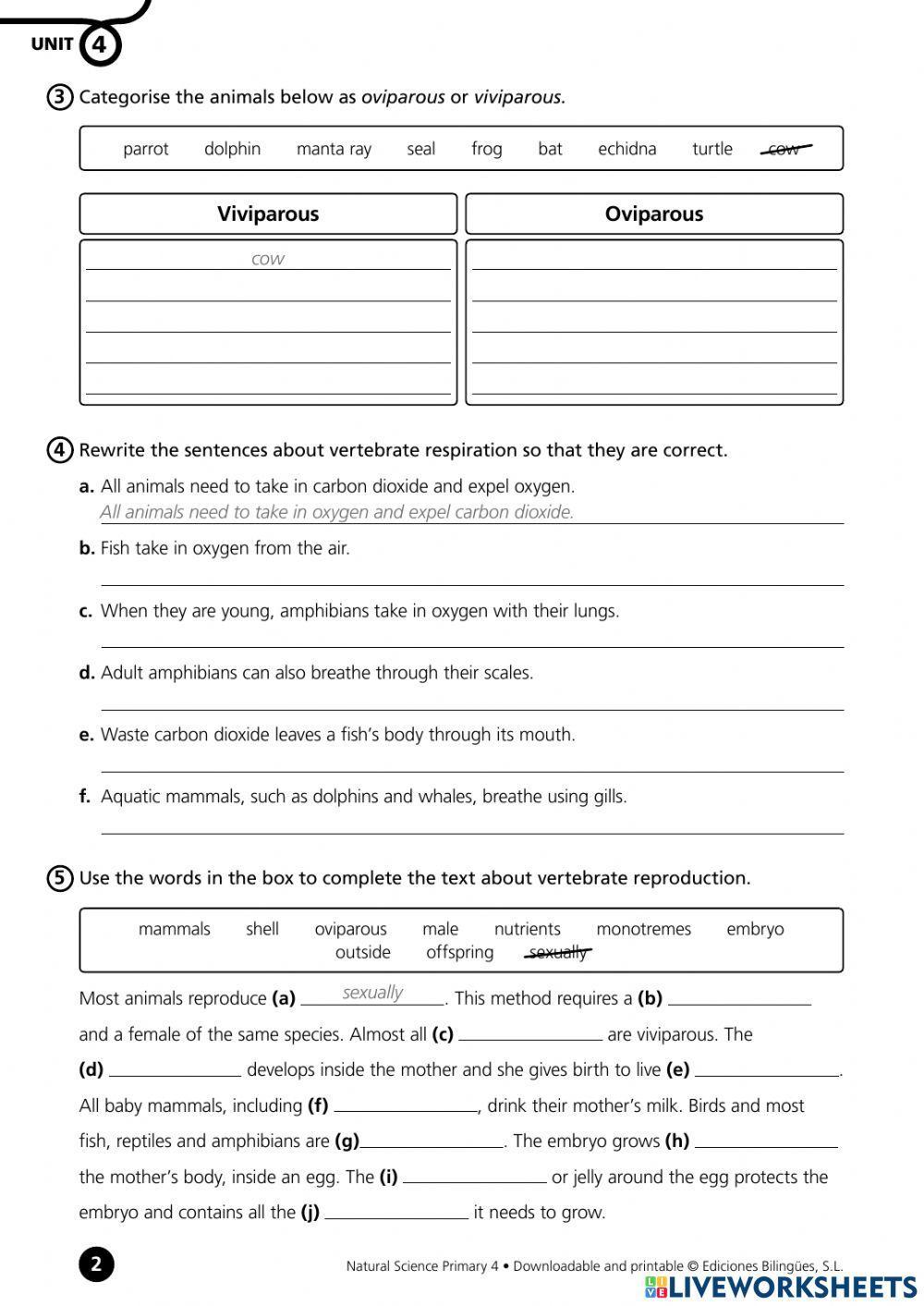 ANIMALS 4TH GRA… | Free Interactive Worksheets | 2264802