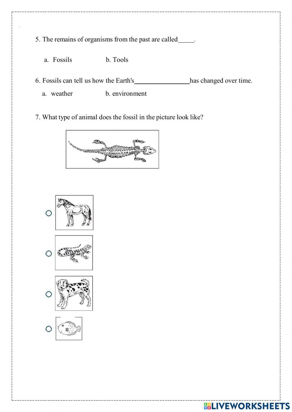 Fossils worksheet 2 4291407 | siltosil | LiveWorksheets