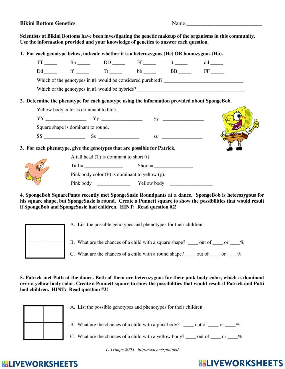 Spongebob Genet… | Free Interactive Worksheets | 2264938