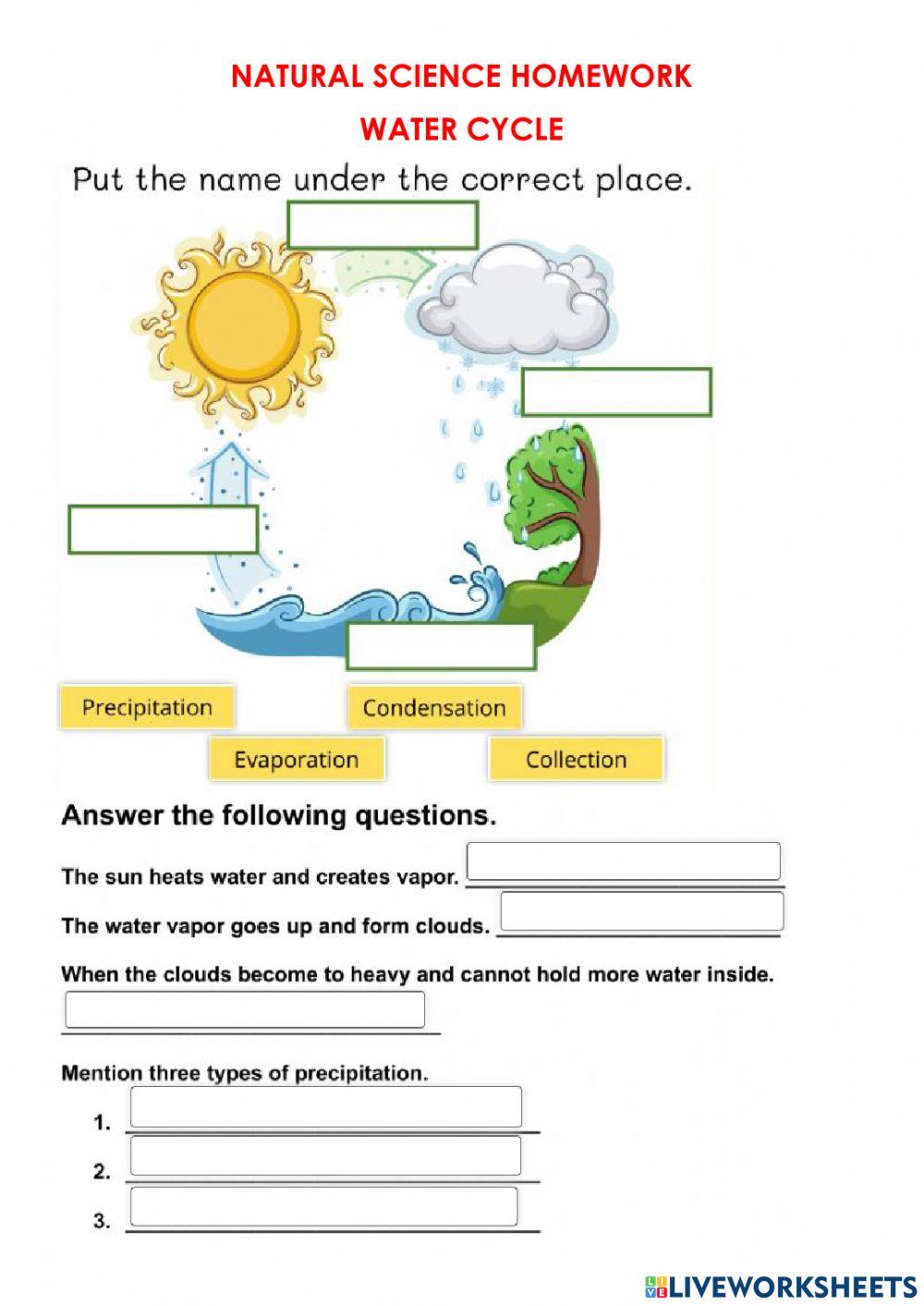 Water Cycle Starter Activity at Peggy Rios blog Water Cycle Starter Activity at Peggy Rios blog