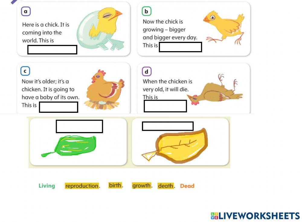 How do animals … | Free Interactive Worksheets | 2265144