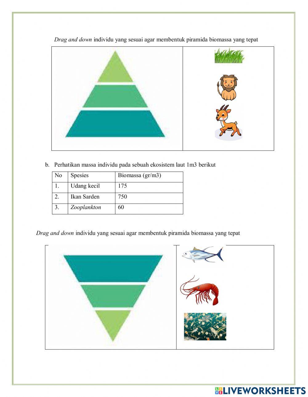 LKPD Ekosistem P2 worksheet | Live Worksheets