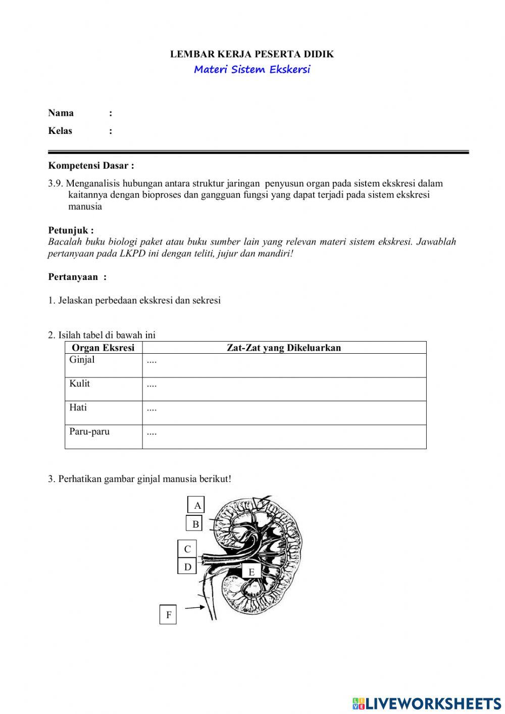 LKPD Sistem Ekskresi online exercise for | Live Worksheets