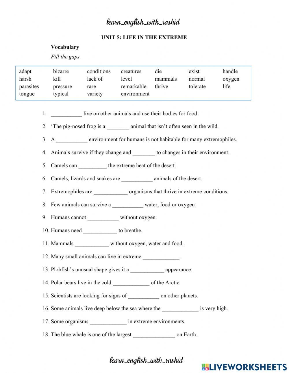GRADE 8 UNIT 5 VOCABULARY REVISION online exercise for | Live Worksheets