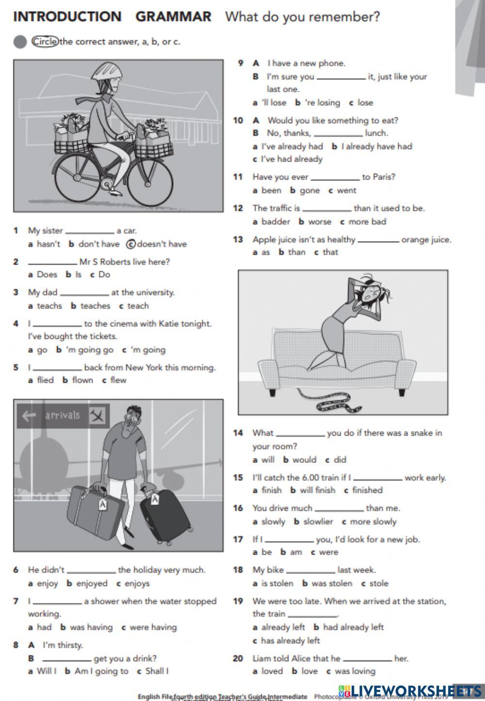 Grammar intro worksheet | Live Worksheets