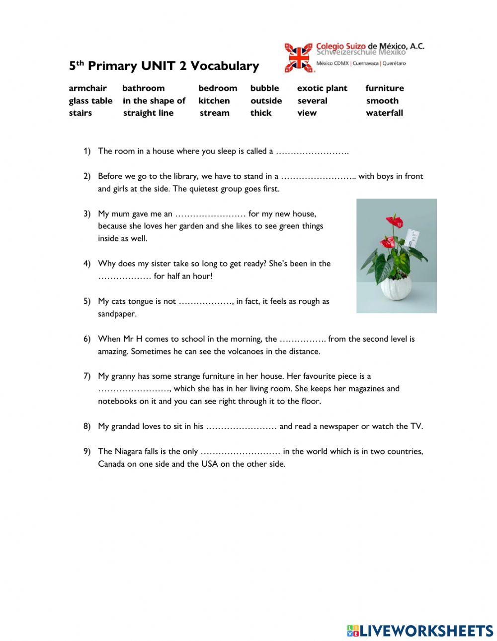 5th Pri unit 2 vocab online exercise for | Live Worksheets
