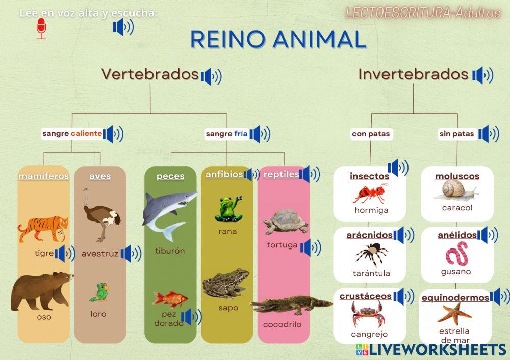 Lectoescritura: reino animal 2271848 | ENRIQUE JOSÉ