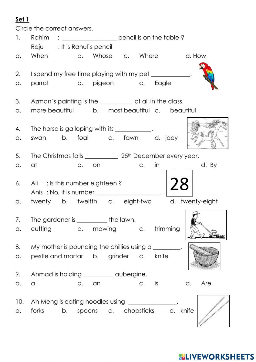 Grammar and Vocabulary Exercise worksheet | Live Worksheets