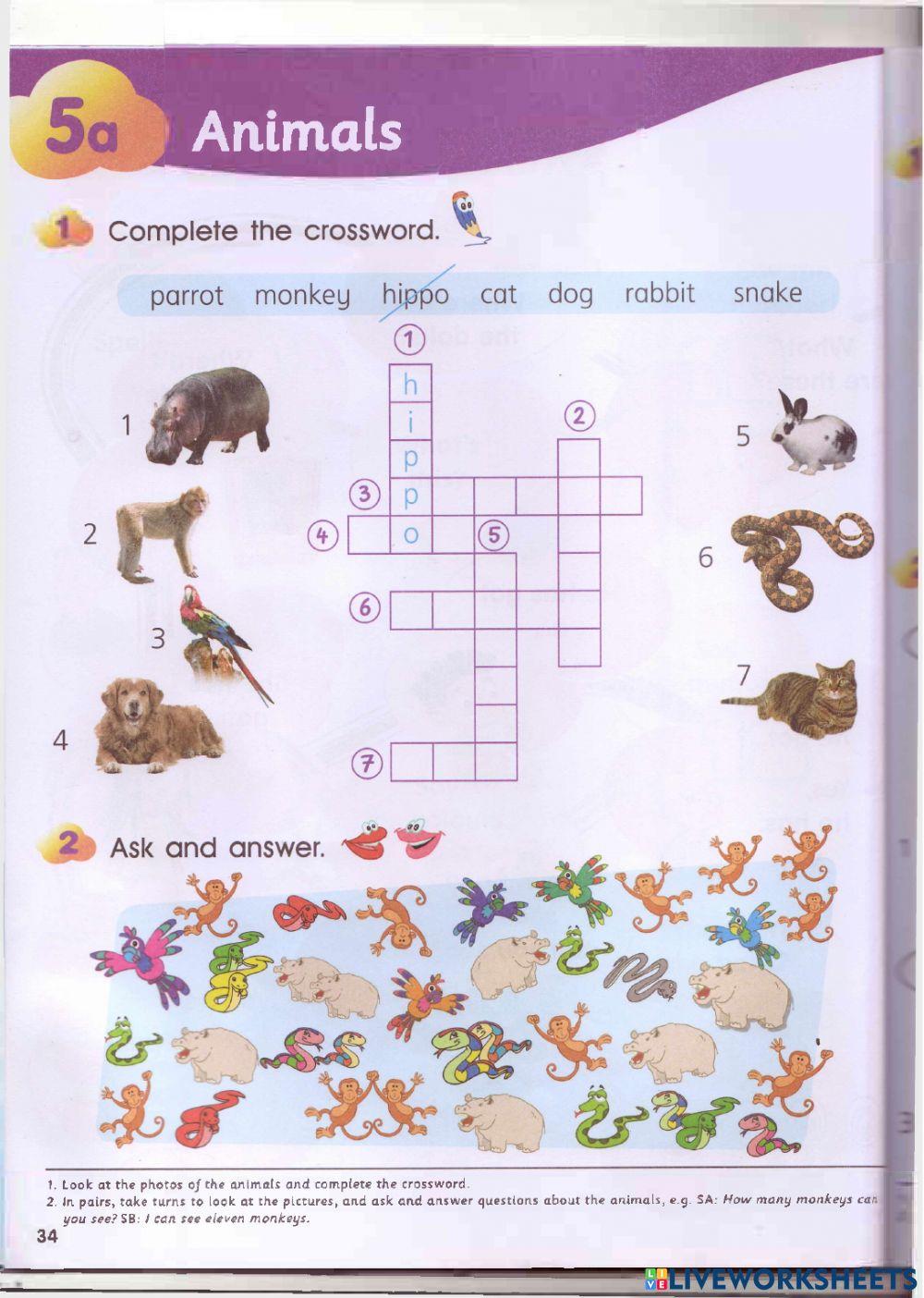 5376300 | SMART JUNIOR 2 UNIT 5A | sventichok