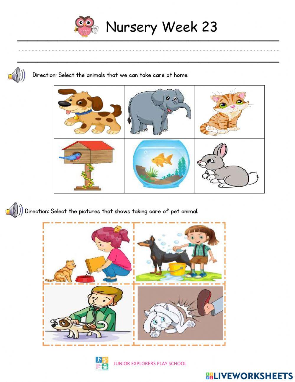 Summative Assessment Nursery Week 23 worksheet | Live Worksheets
