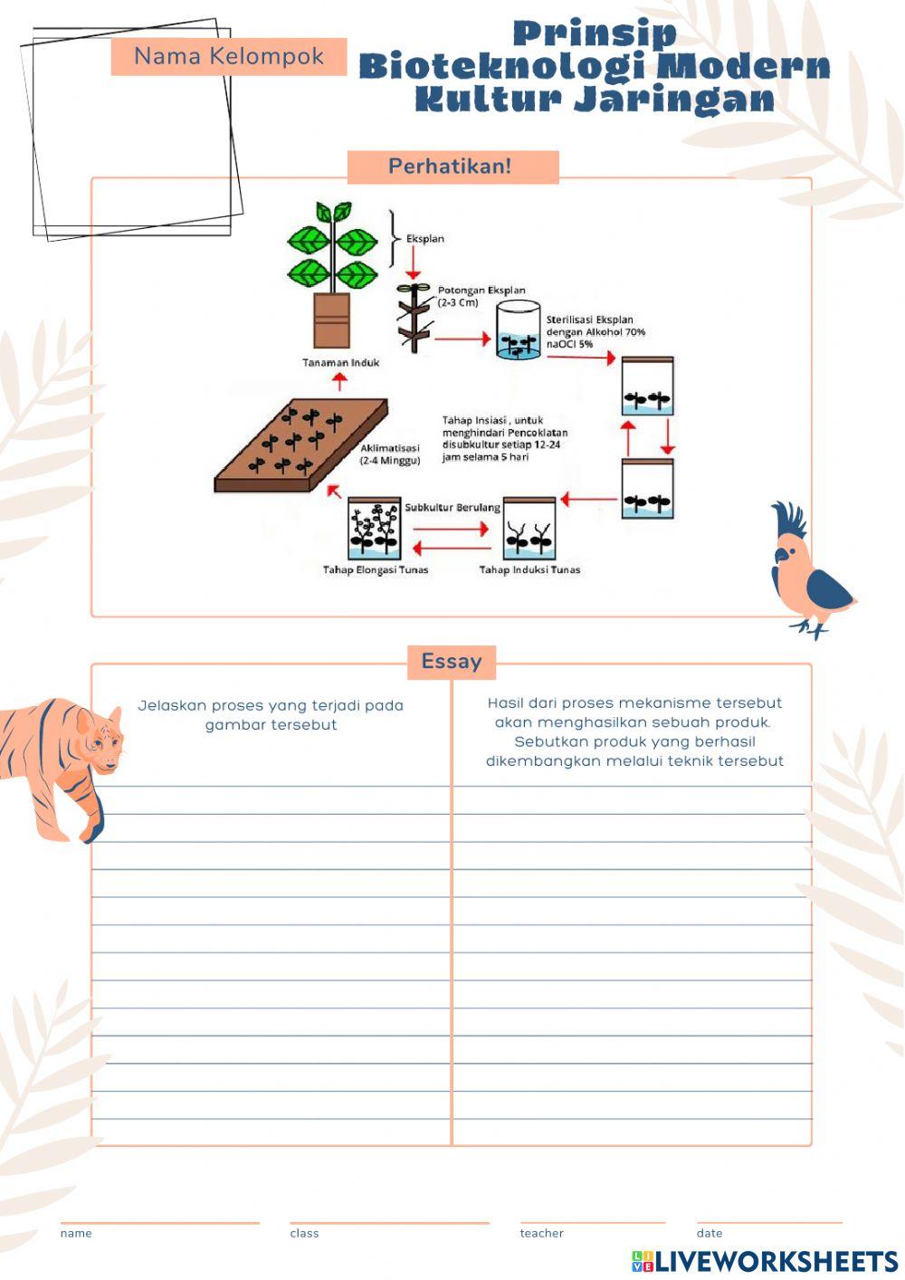 Prinsip Bioteknologi Modern worksheet | Live Worksheets