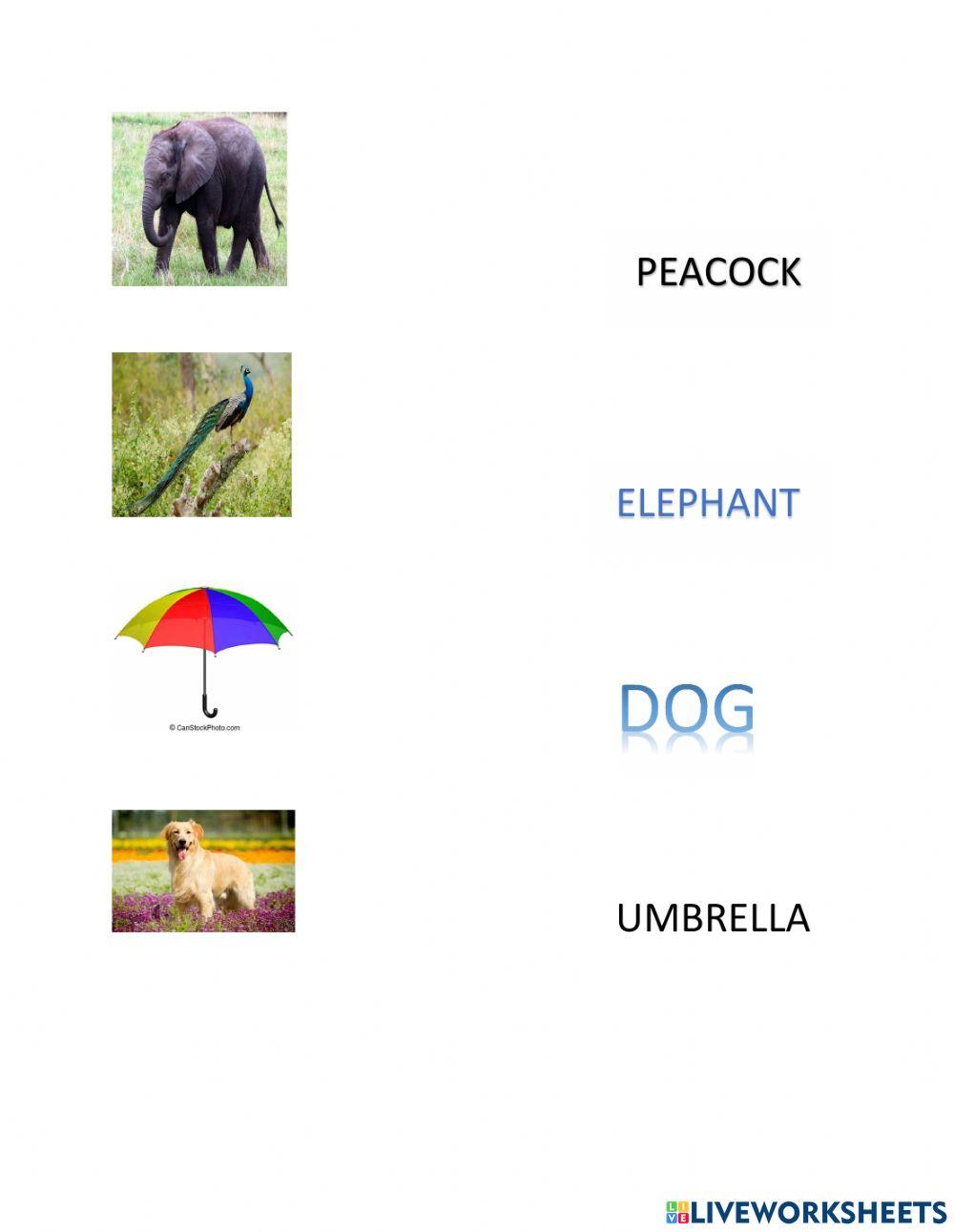 Match the worksheet | Live Worksheets