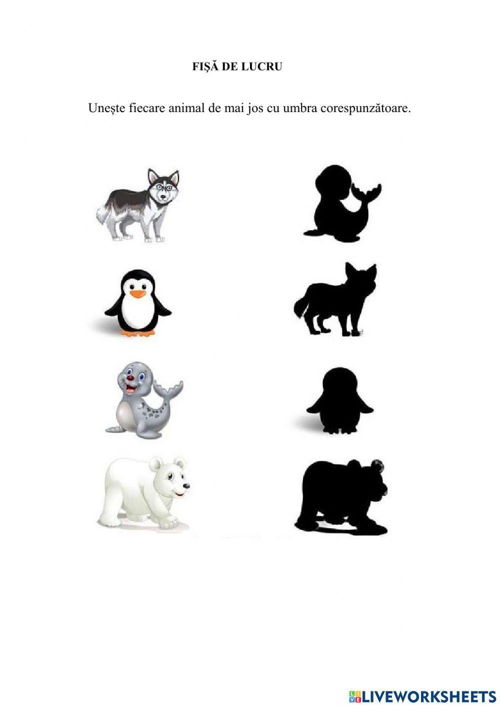 Fisa matematica animale online exercise for | Live Worksheets