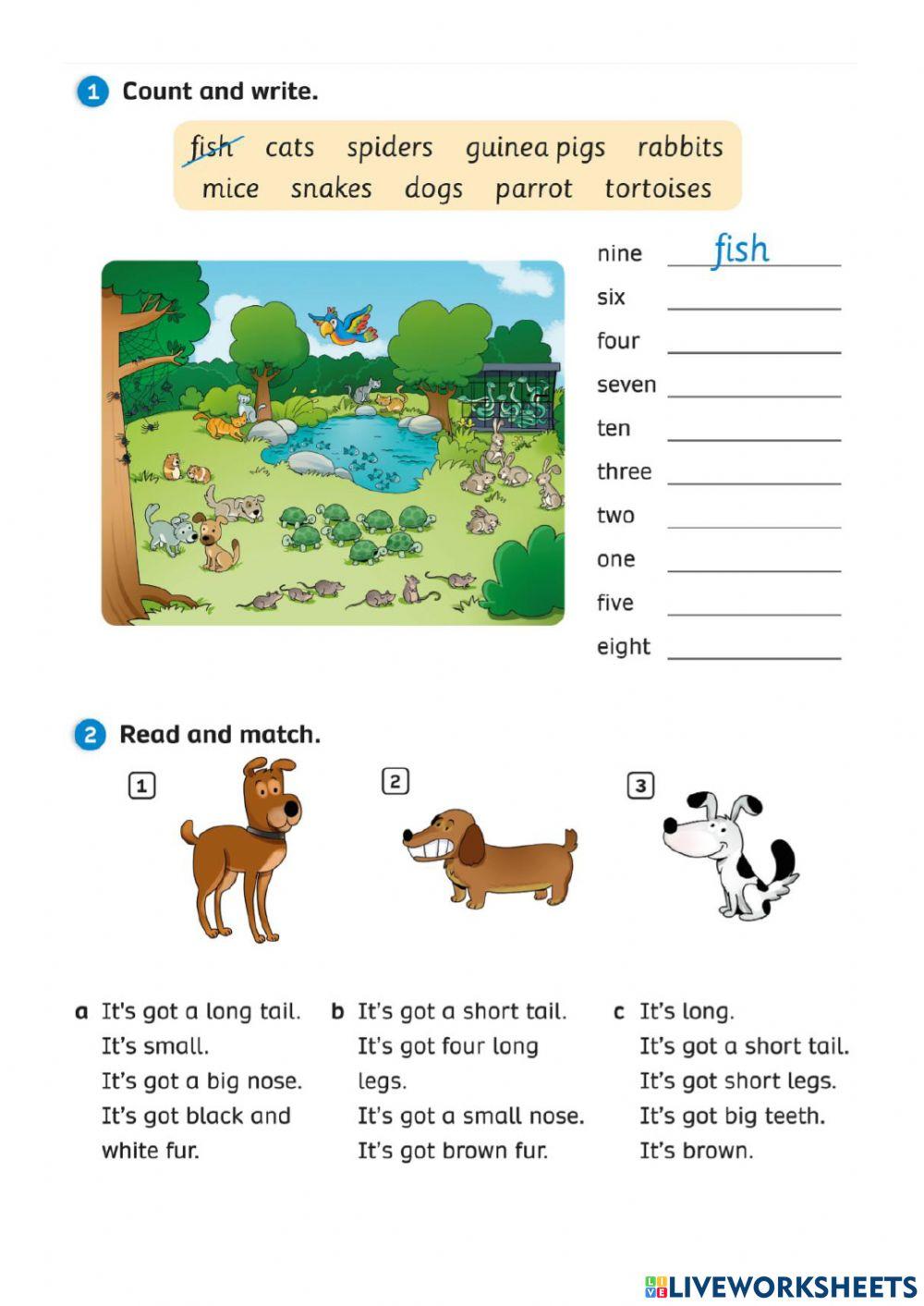 Pets online exercise for Grade 1 | Live Worksheets