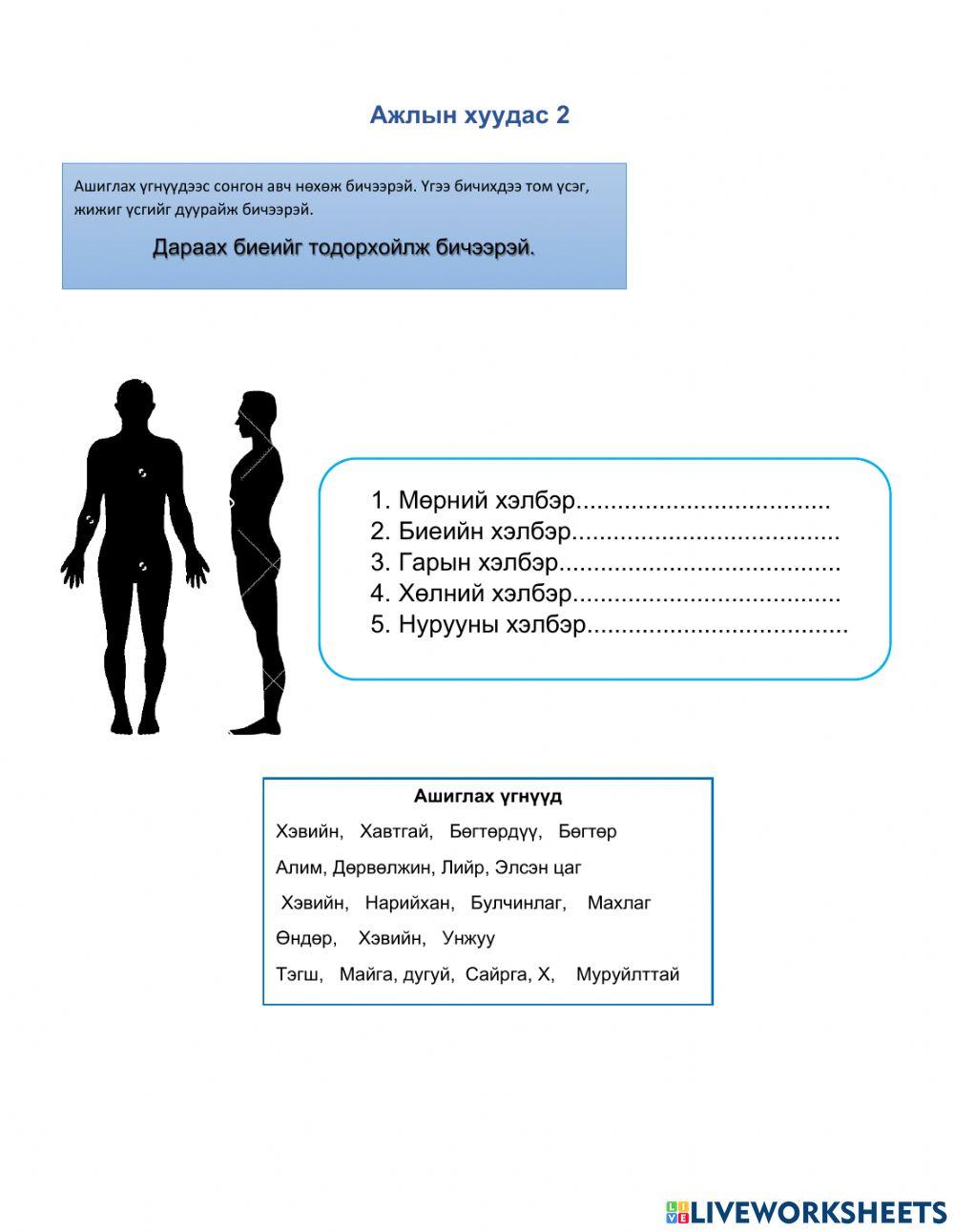 Хүний биеийг тодорхойлох Worksheet Live Worksheets