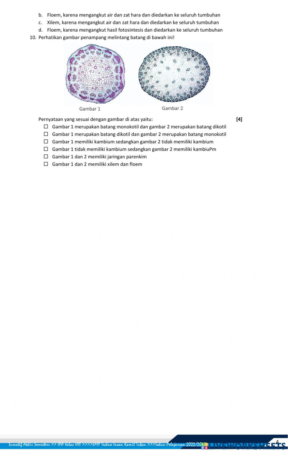 2256884 | Sistem gerak | Siti_Marufah | LiveWorksheets