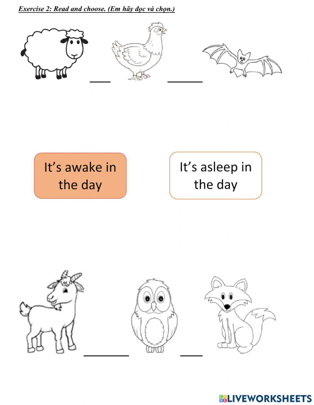 Week 20 grade 2 animals worksheet | Live Worksheets