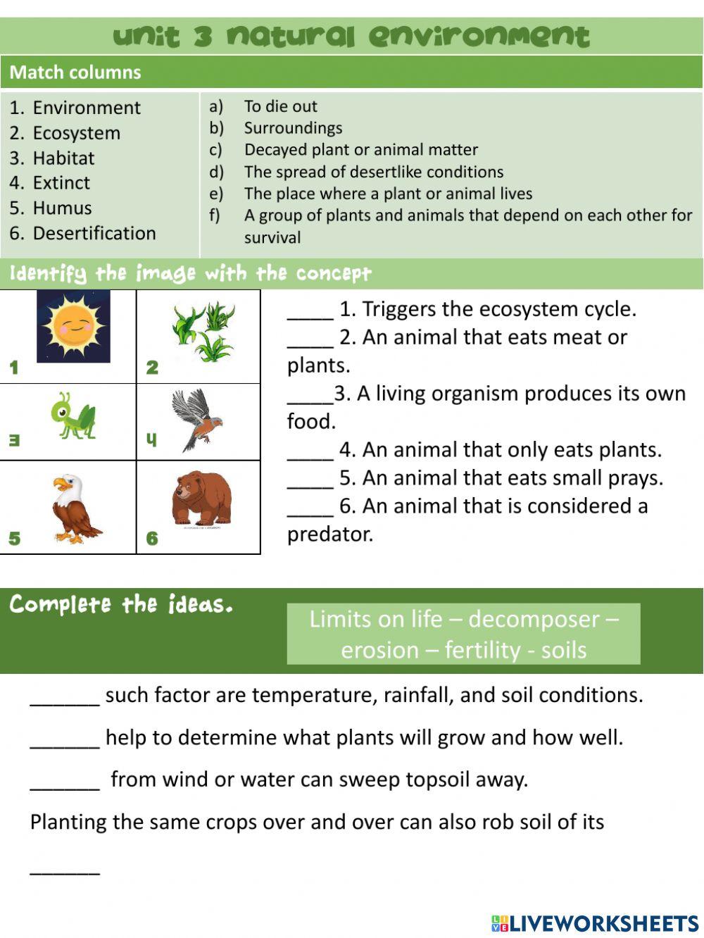 Natural environments interactive worksheet | Live Worksheets