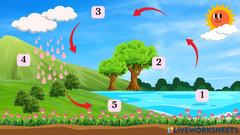 Siklus Air exercise for 4 5 6 | Live Worksheets