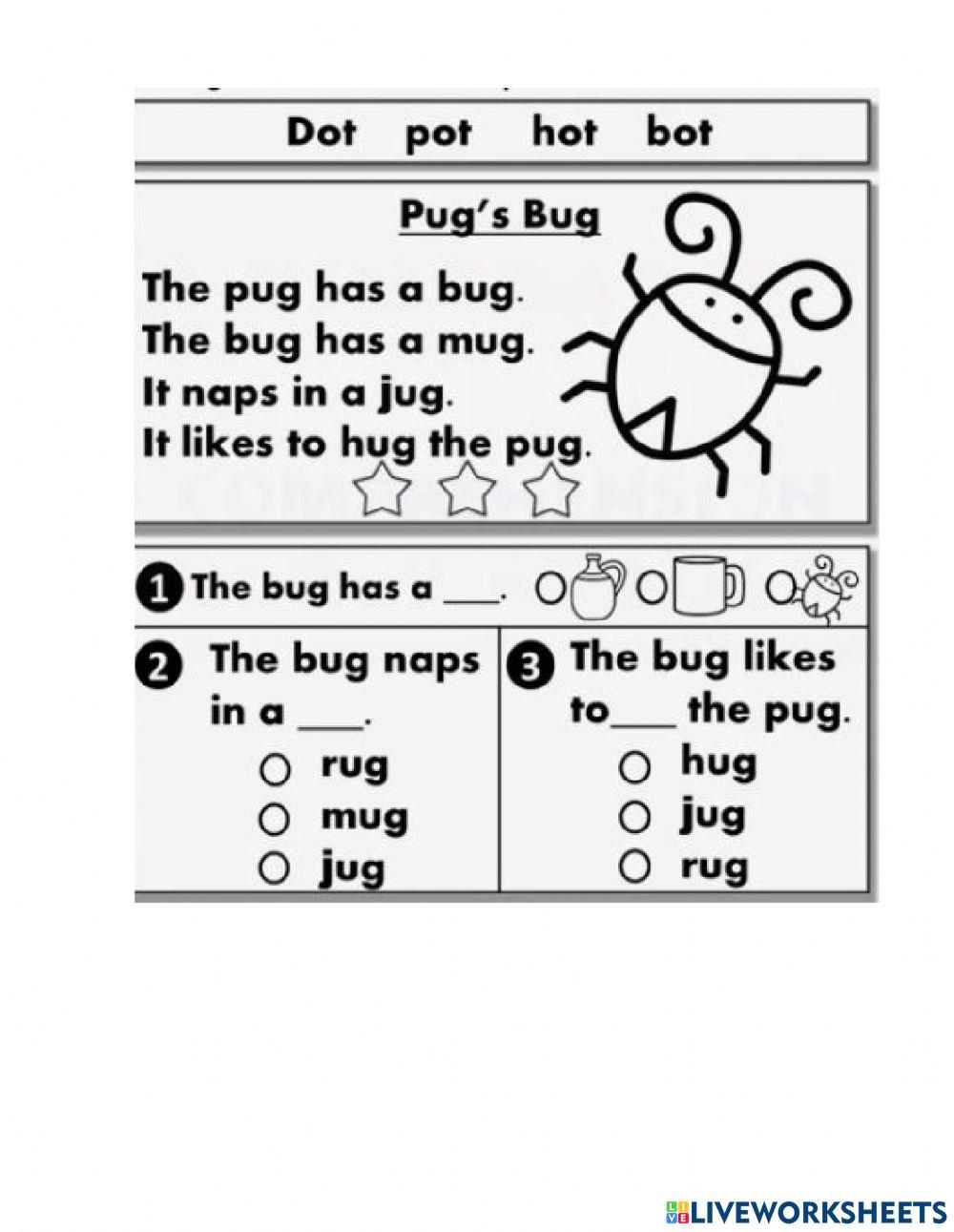 Reading rules l… | Free Interactive Worksheets | 2511079
