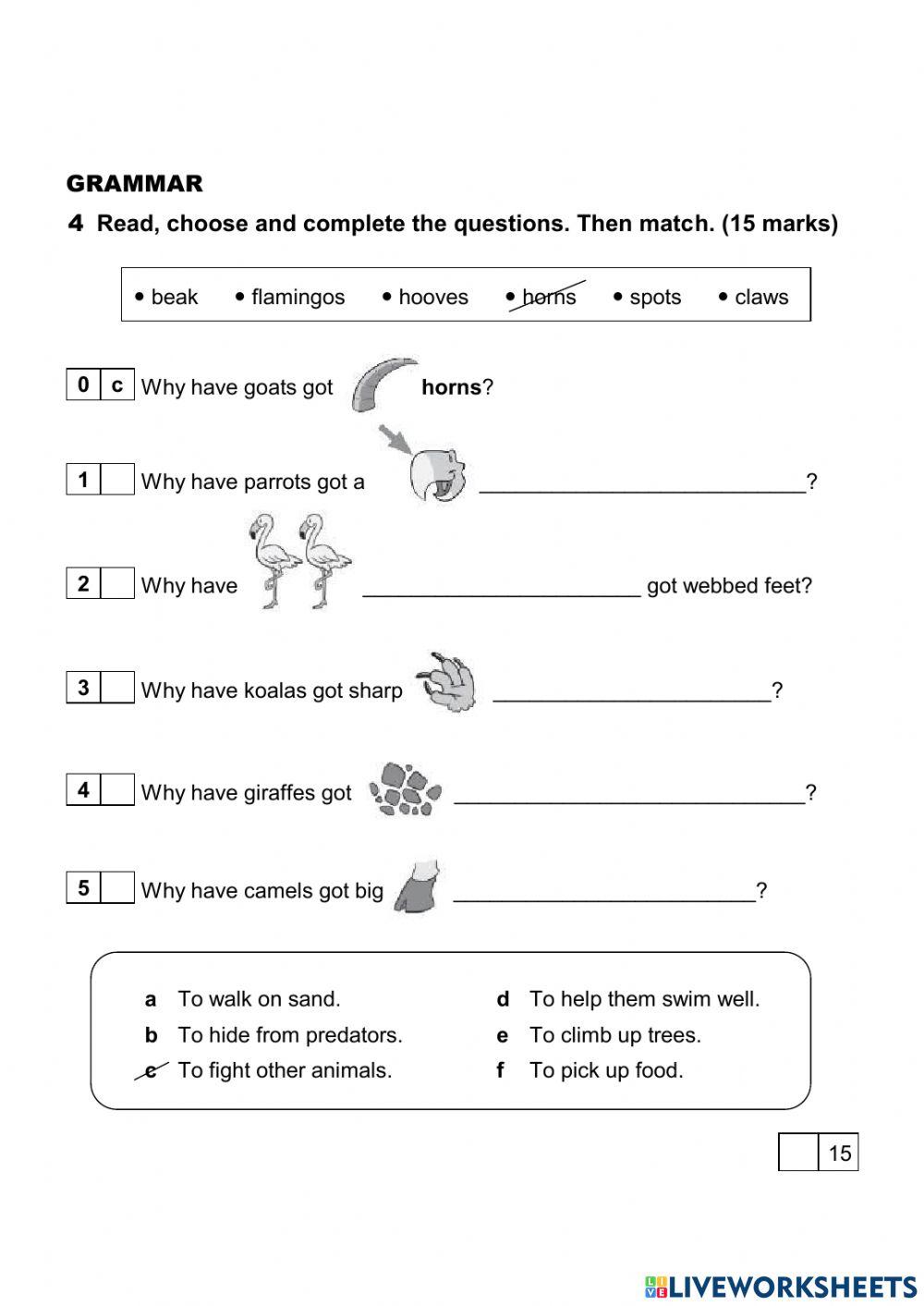 I wonder 4 Test… | Free Interactive Worksheets | 6922469