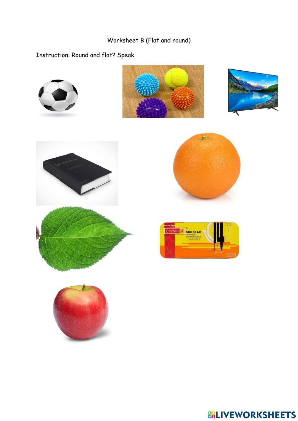 Flat or Round? 0558 | Dorji Dema | Live Worksheets