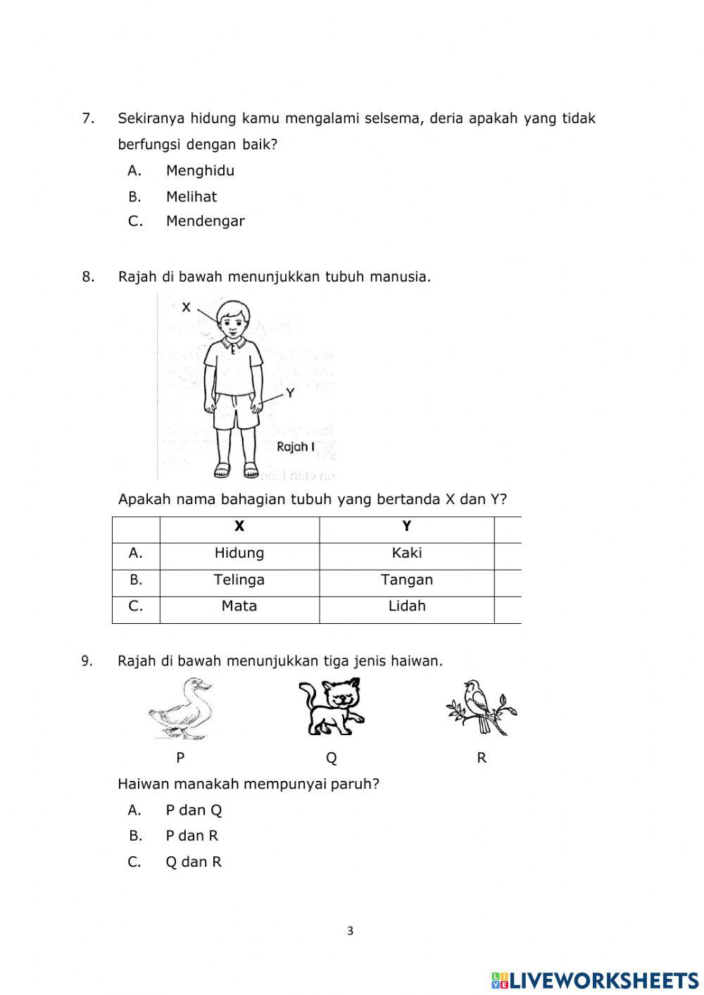 Latihan objektif online exercise | Live Worksheets