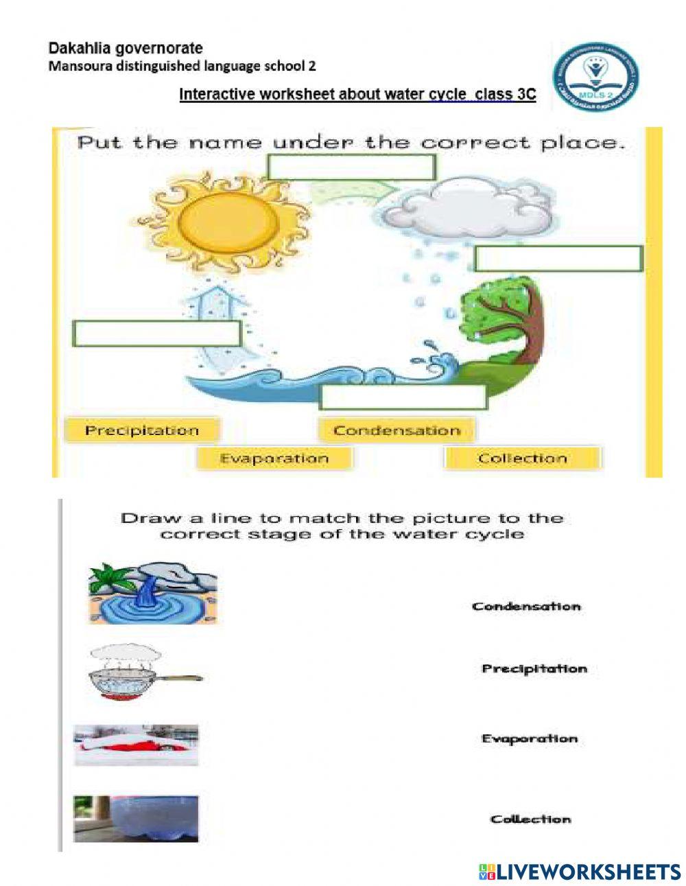 Water cycle online exercise for 3C | Live Worksheets