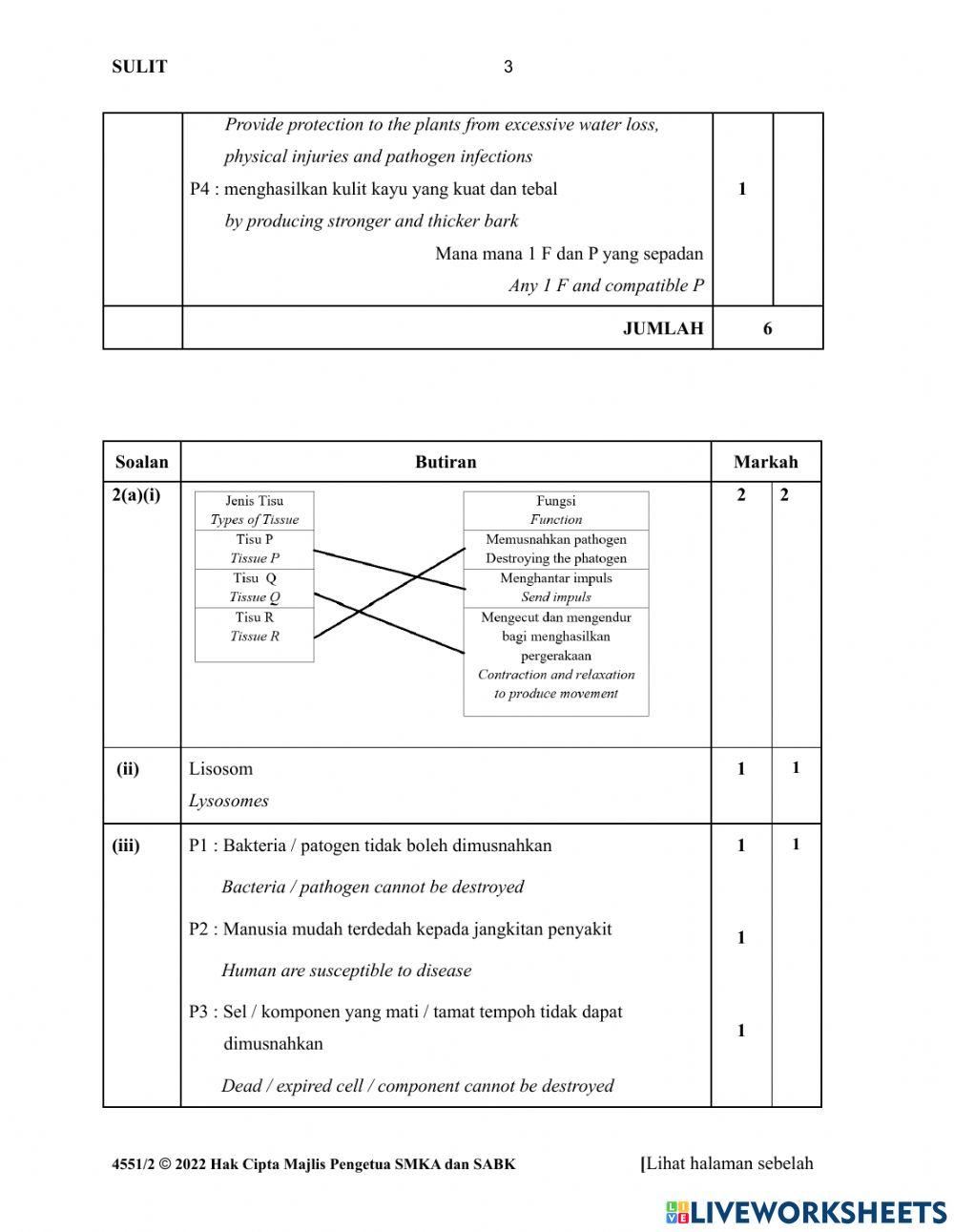 5374294 | SKEMA PPC BIO K2 SMKAS 2022 a | Rahishahhanau
