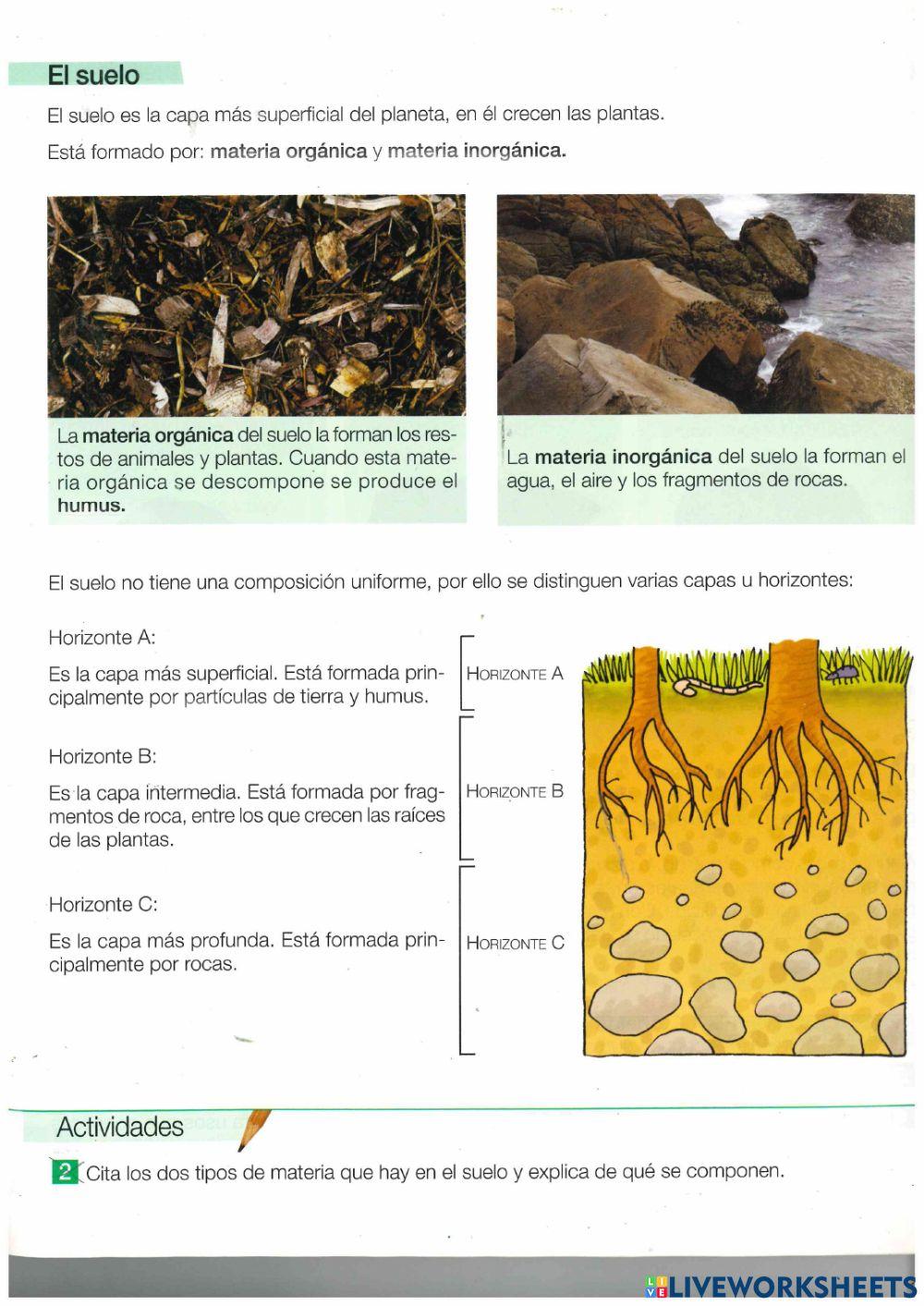 El Suelo Interactive Activity For 5º Live Worksheets