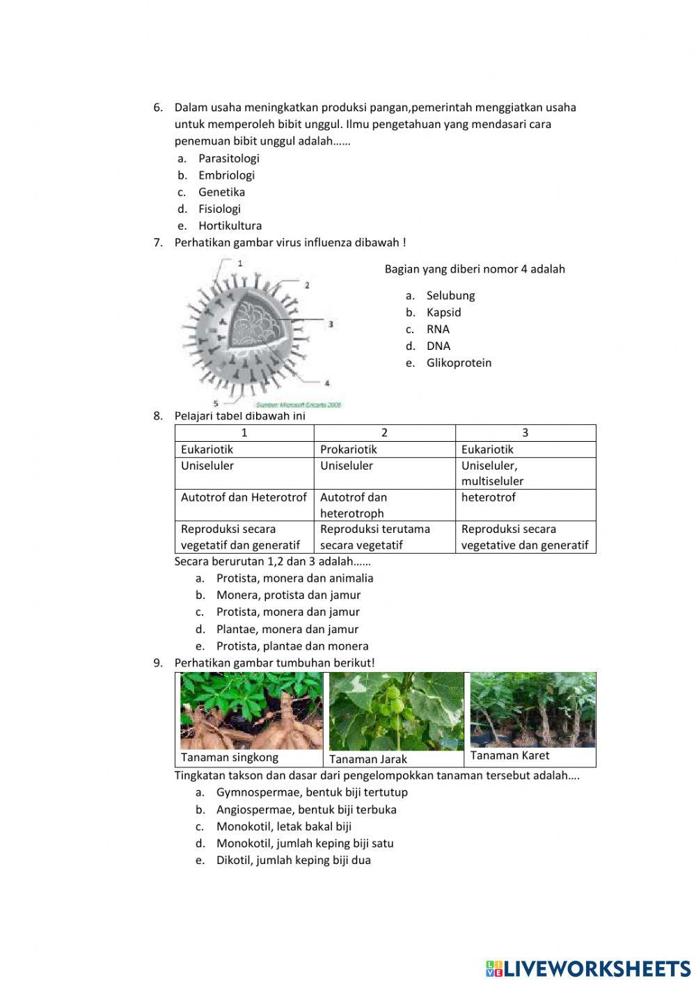 Biologi worksheet for 12 | Live Worksheets