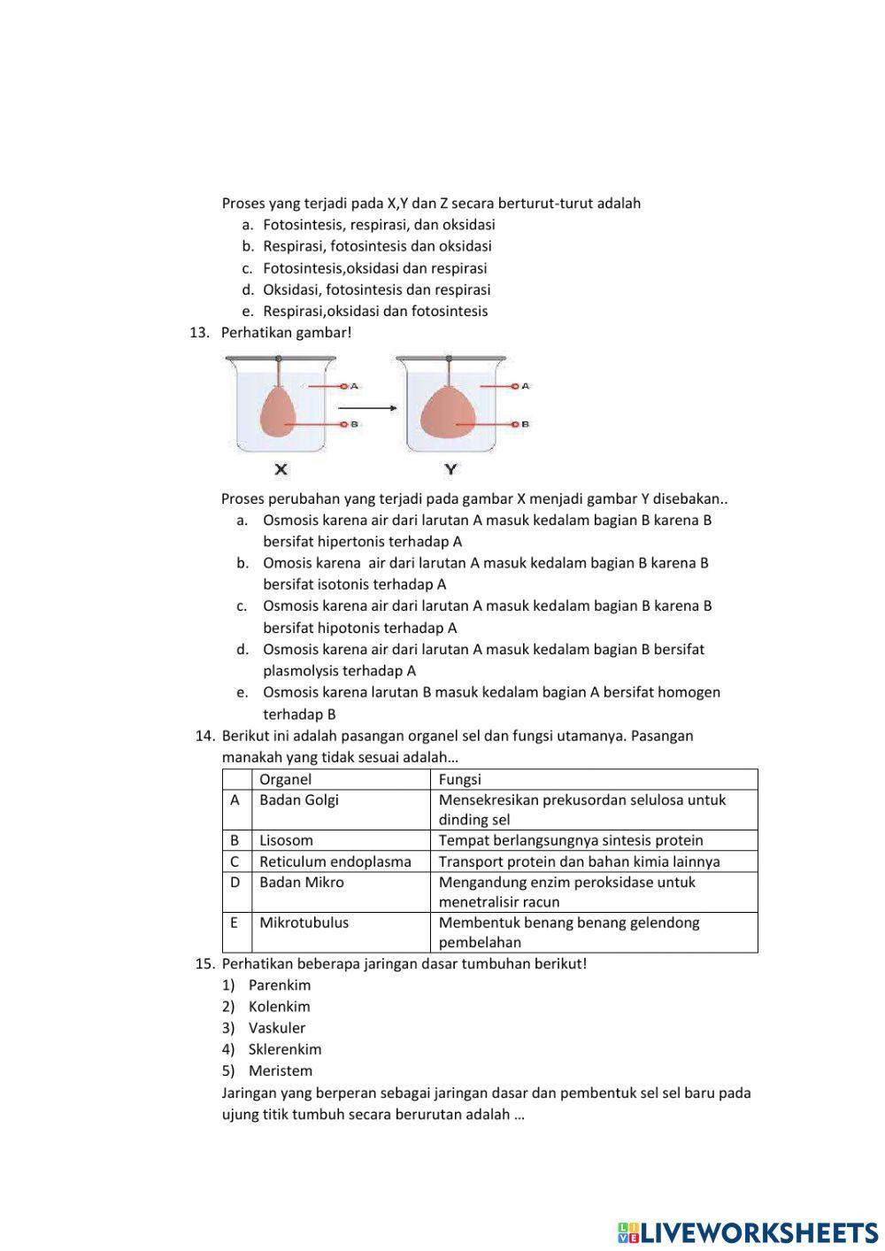 Biologi worksheet for 12 | Live Worksheets