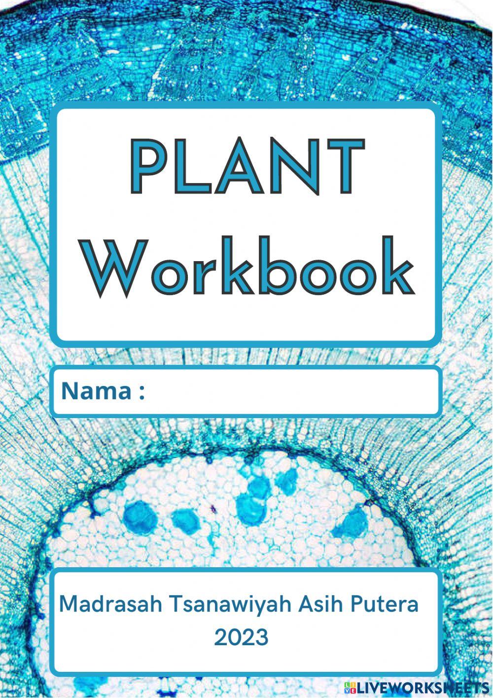 Work book plant part 2 worksheet | Live Worksheets