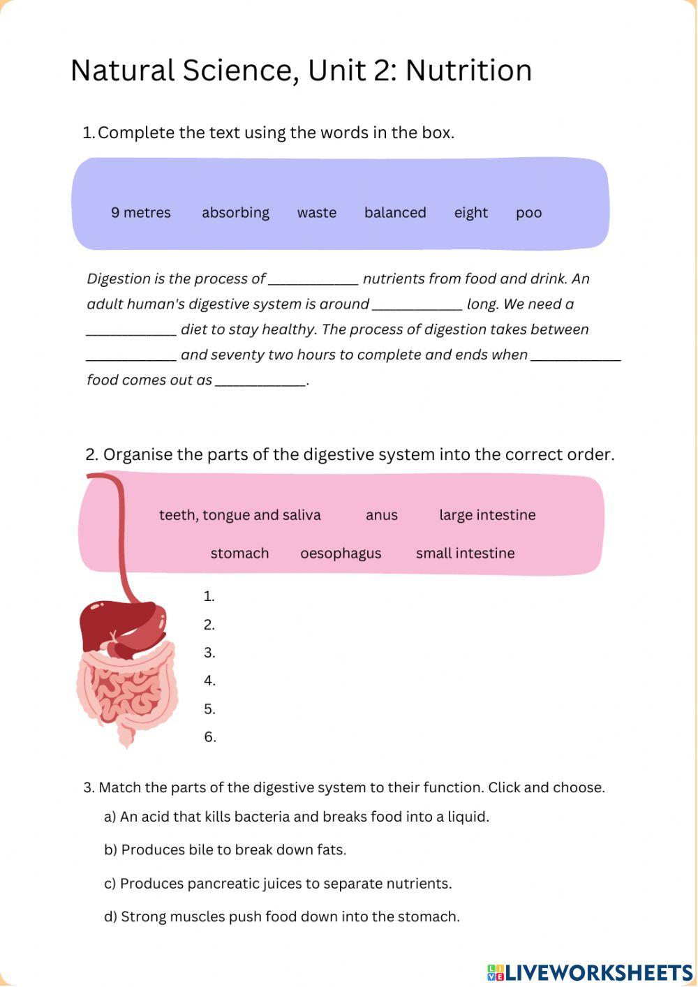 2290894 | Nutrition Exam (adapted level) | Carly_Mc