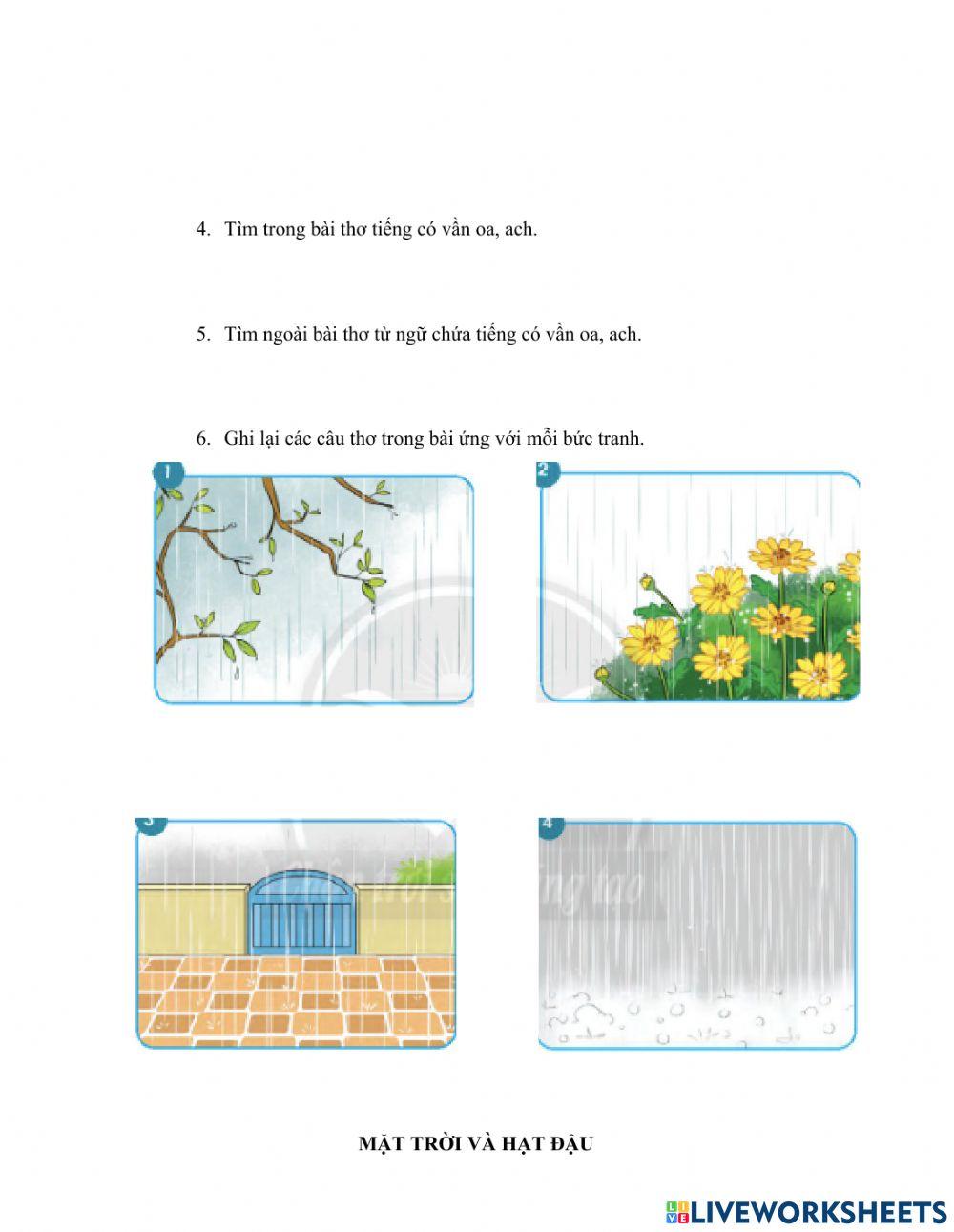 Vietnamese worksheet for 1 | Live Worksheets