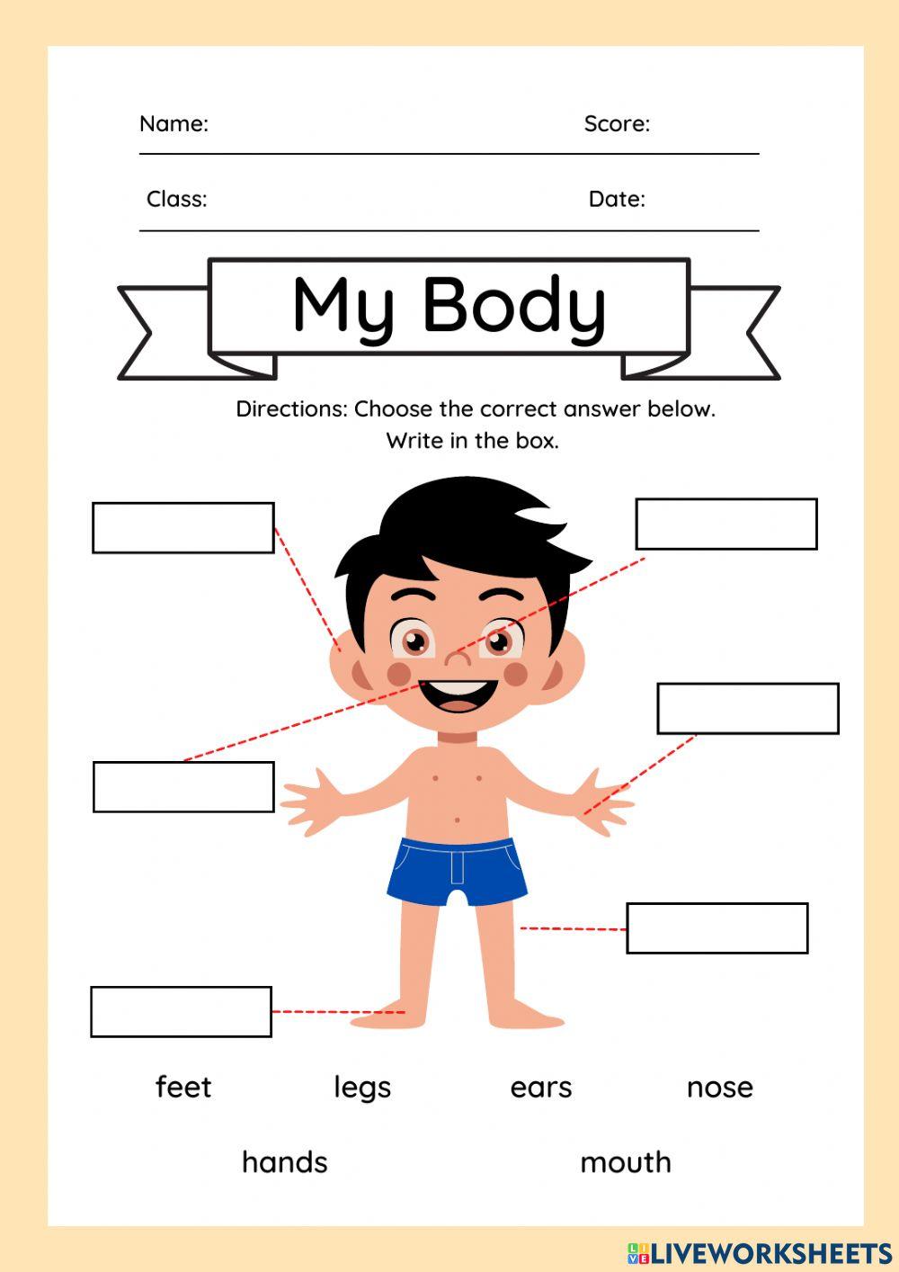 My body online exercise for Grade 3 | Live Worksheets