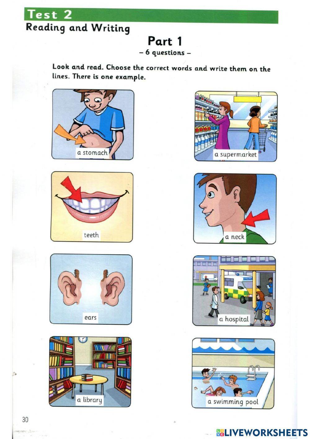 Movers test wri… | Free Interactive Worksheets | 3665942