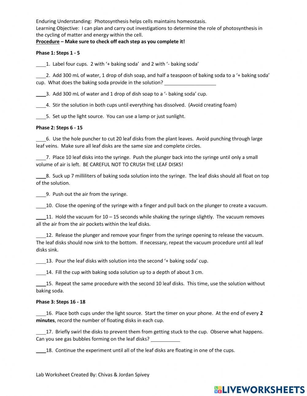 Photosynthesis Floating Leaf Disk Lab worksheet | Live Worksheets