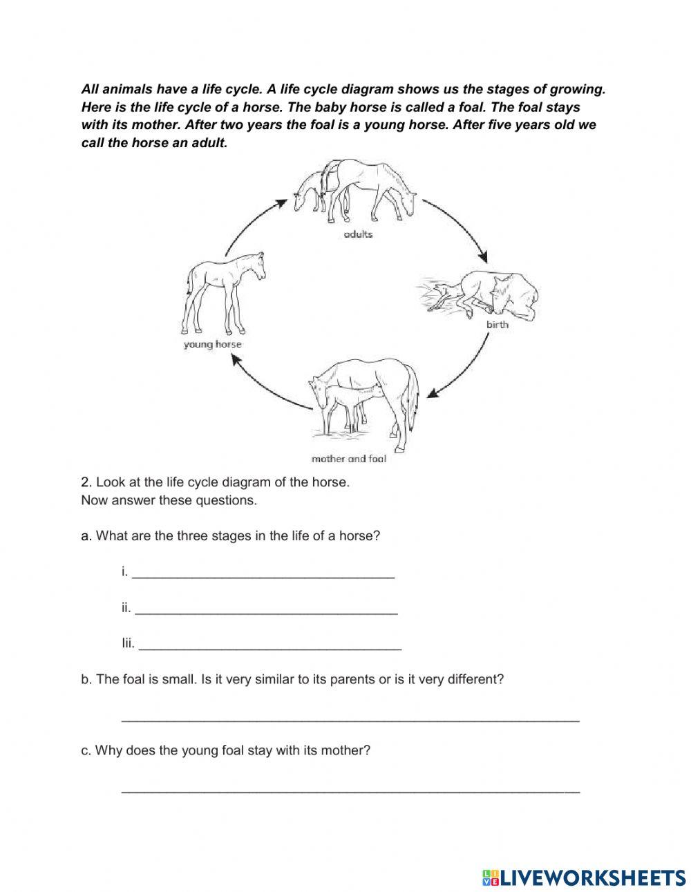 U4 Staying aliv… | Free Interactive Worksheets | 2292154