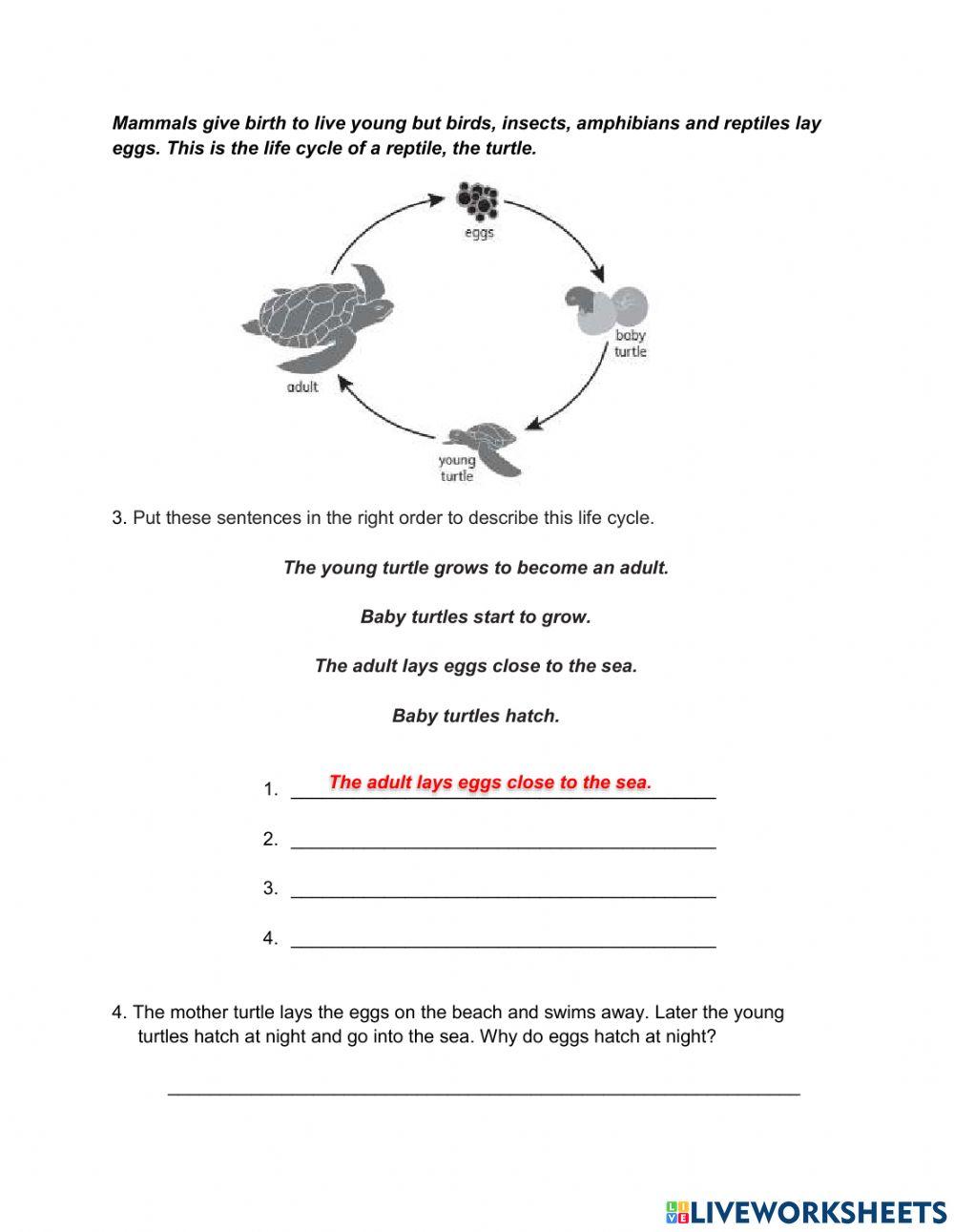 U4 Staying aliv… | Free Interactive Worksheets | 2292154