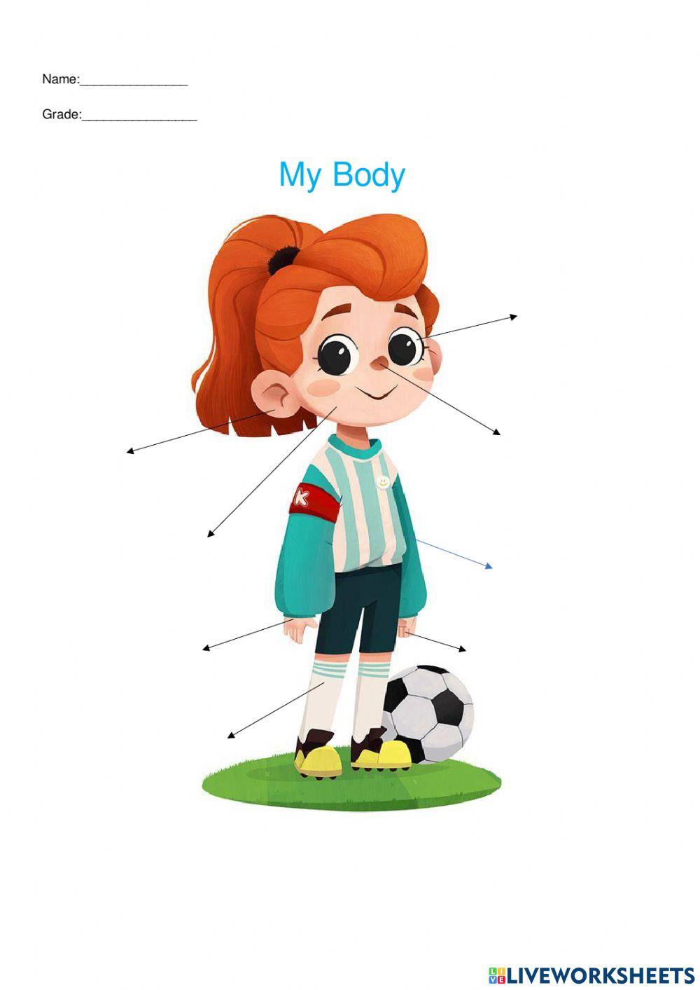 My body online exercise for grade 2 | Live Worksheets