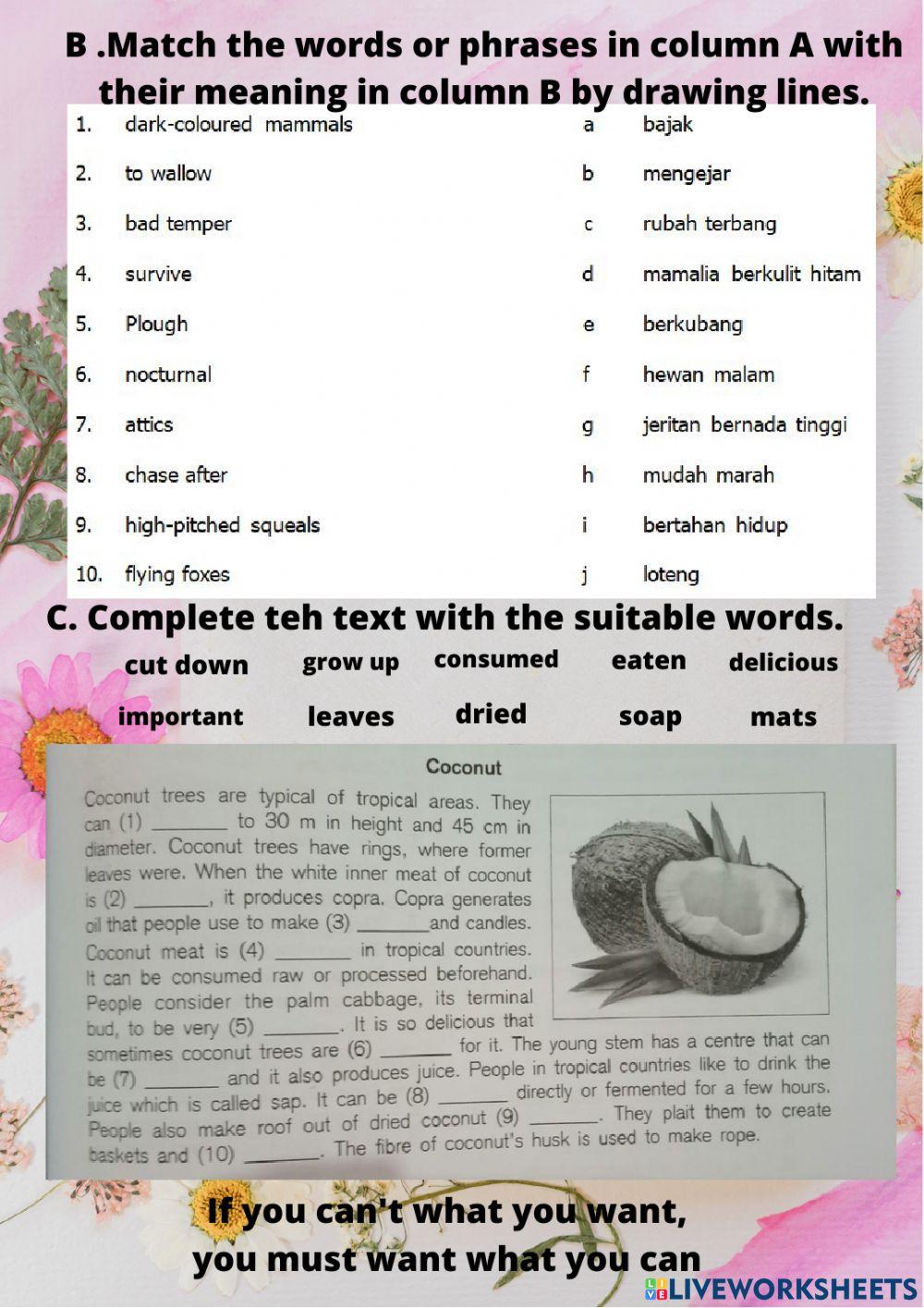 Report Text Grade IX 6929125 | Rita Mustika | Live