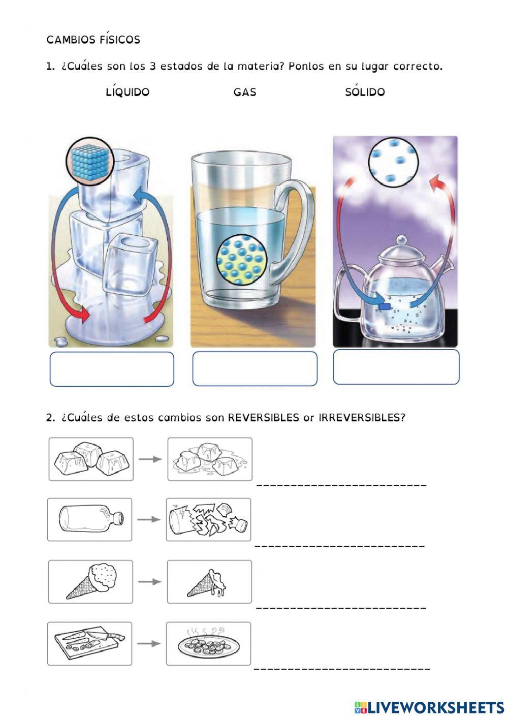 2293837 | Cambios físicos | teacherCris20