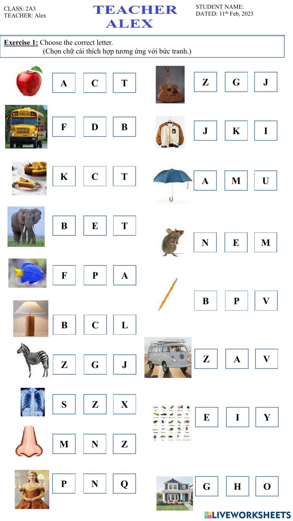 Alphabet 2294368 | MsAlexhp | Live Worksheets