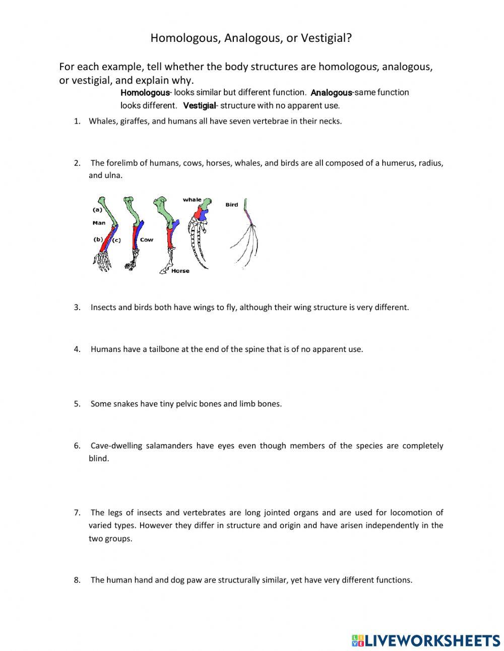 Identify Analog Free Interactive Worksheets 4237608 identify-analog-free-interactive-worksheets-4237608